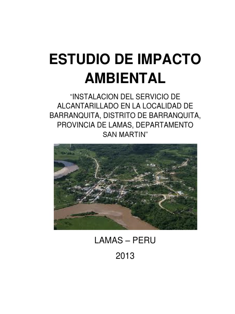 Estudio de Impacto Ambiental | PDF | Desarrollo sostenible | Evaluación ...