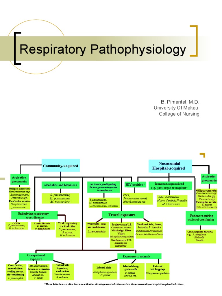 Respiratory Pathophysiology: B. Pimentel, M.D. University of Makati ...