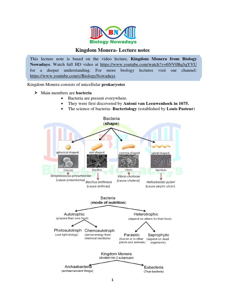 Kingdom Monera Lecture Notes | PDF | Archaea | Bacteria