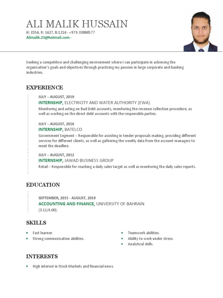 Ali Malik - CV | PDF