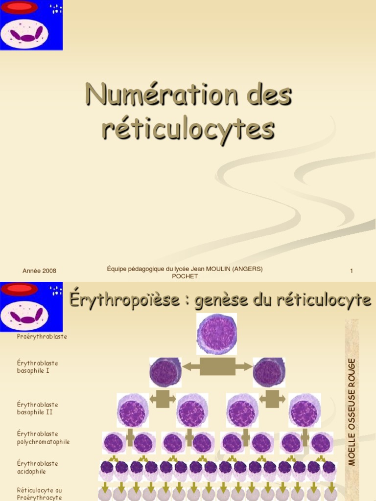 Numeration Reticulocyte NC | PDF | Cellule (biologie) | Globule rouge