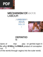 Mechanism of Labour | PDF | Pelvis | Anatomical Terms Of Motion