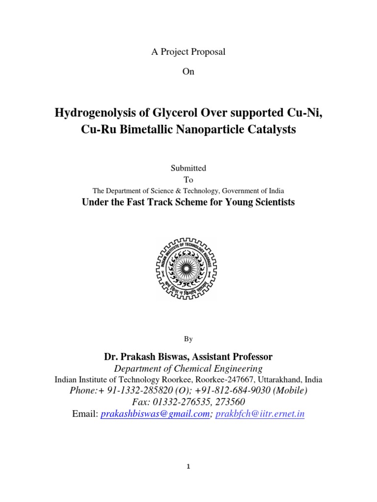 Sample Project Proposal | PDF | Catalysis | Nanoparticle