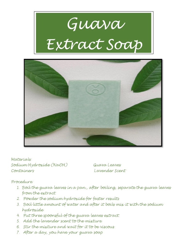 Extract Soap: Guava | PDF