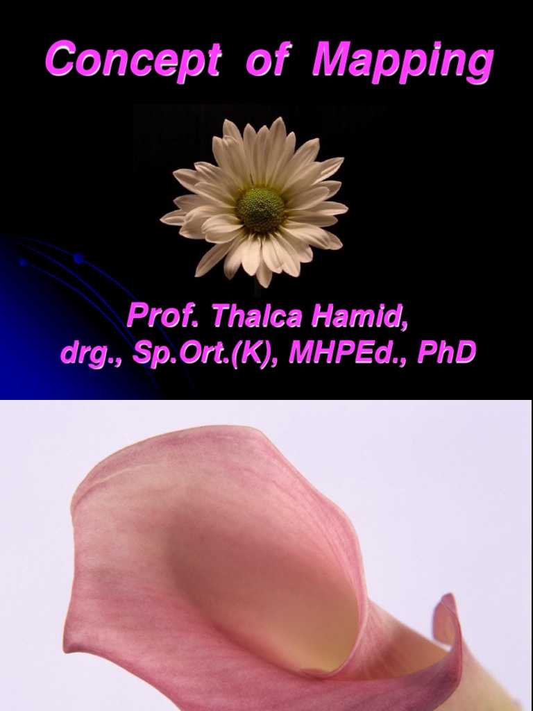 Concept of Mapping: Prof | PDF | Concept | Brainstorming