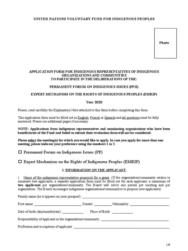 UN Indigenous Peoples Fund Application Form | PDF | Board Of Directors ...