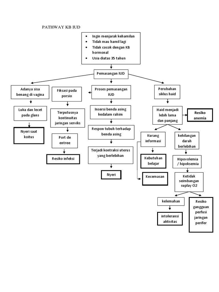 Pathway KB Iud | PDF