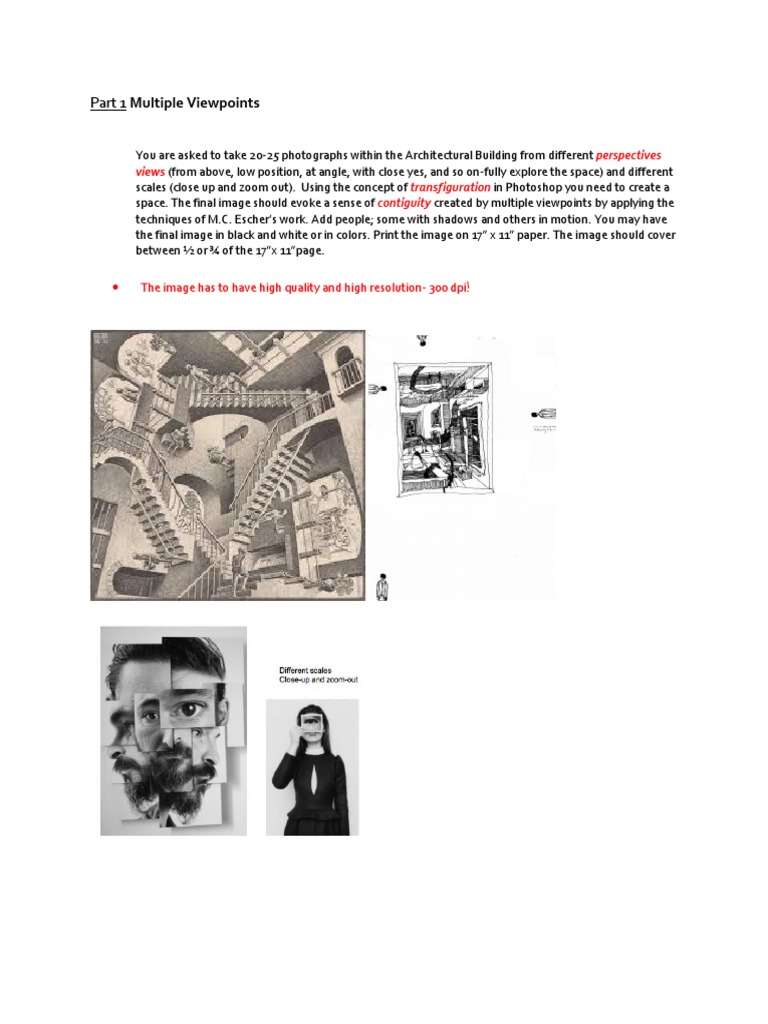 Multiple Viewpoints: Perspectives Views Transfiguration Contiguity ...