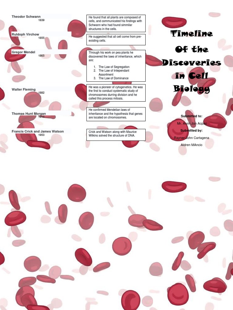 Timeline of The Discoveries in Cell Biology: Theodor Schwann | PDF ...