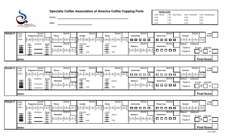SCAA Score Sheet | PDF | Coffee | Food And Drink