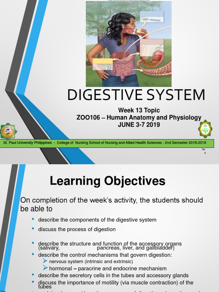 Anatomy and Physiology of the Digestive System: A Comprehensive Review ...