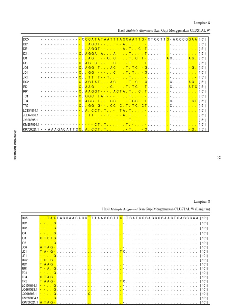 Lampiran 8 Hasil Multiple Alignment Ikan Gupi Menggunakan CLUSTAL W ...