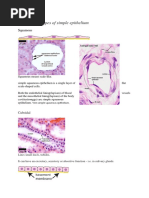 WAVwatch Handbook & Frequency Guide | PDF | Back Pain | Urinary Tract ...