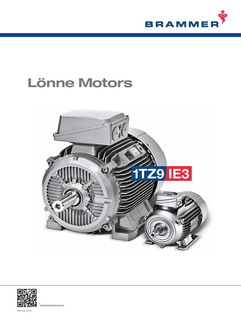 1TZ9 IE3 Lonne Motors Rev2 2015 | PDF | Cast Iron | Manufactured Goods