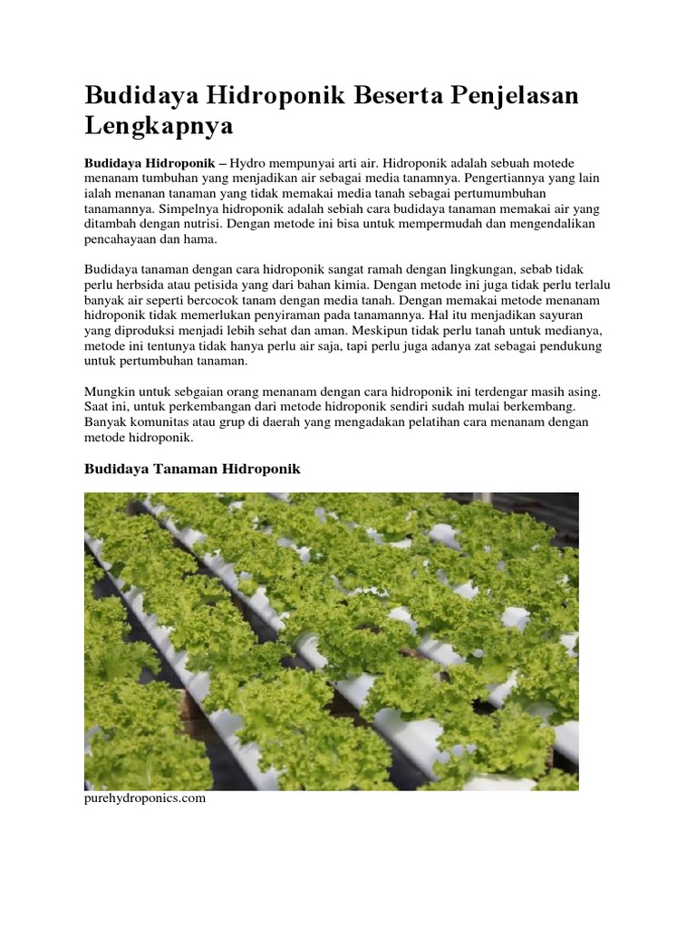 Materi Hidroponik | PDF