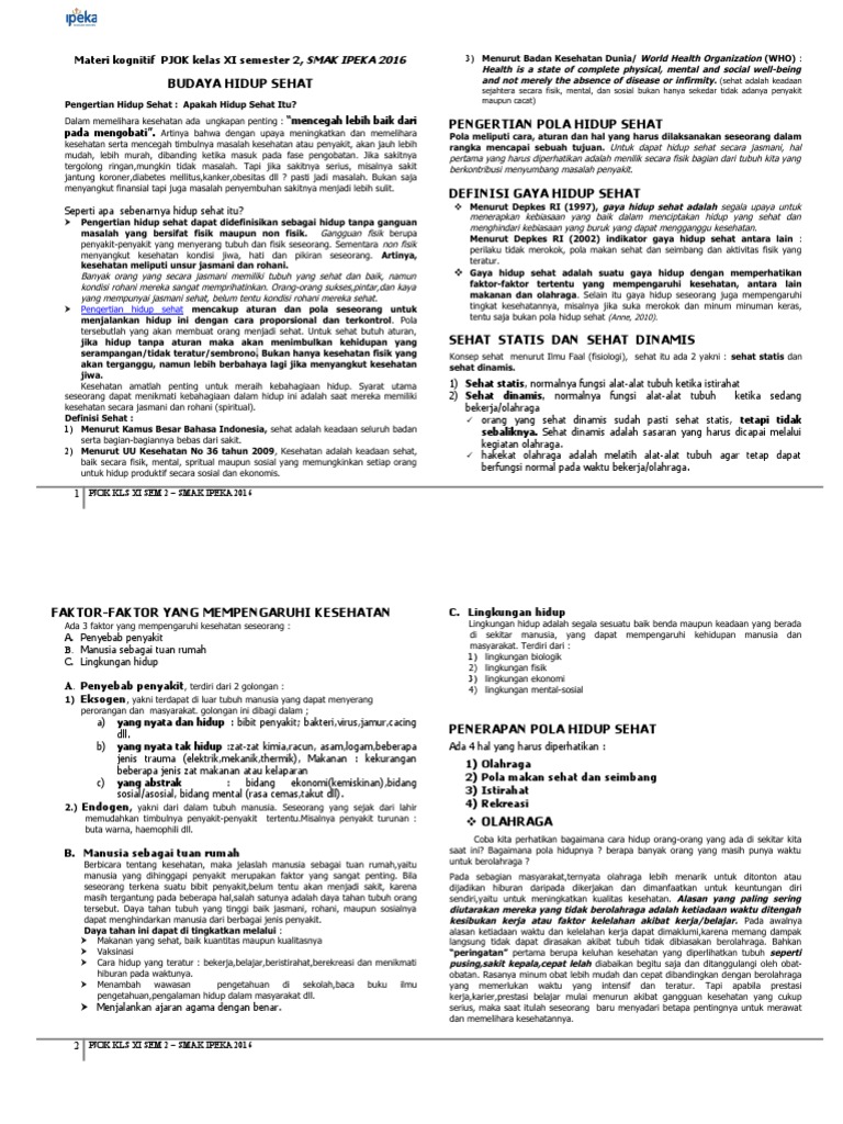 Materi Pjok Kls Xi Sem 2 2016 Pola Hidup Sehat Ok | PDF
