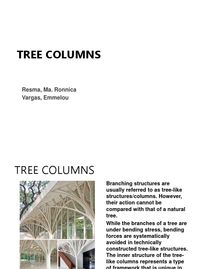 Tree Columns: Resma, Ma. Ronnica Vargas, Emmelou | PDF | Column | Nature
