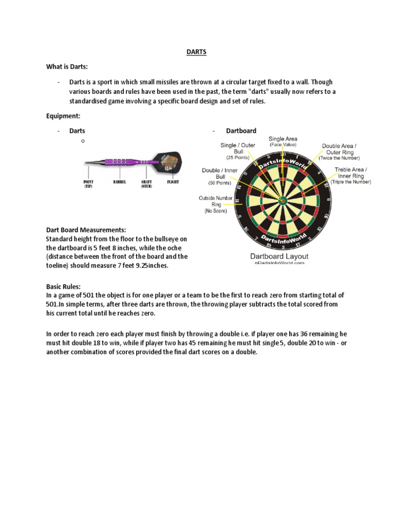 Darts What Is Darts | PDF | Table Tennis | Ball Games