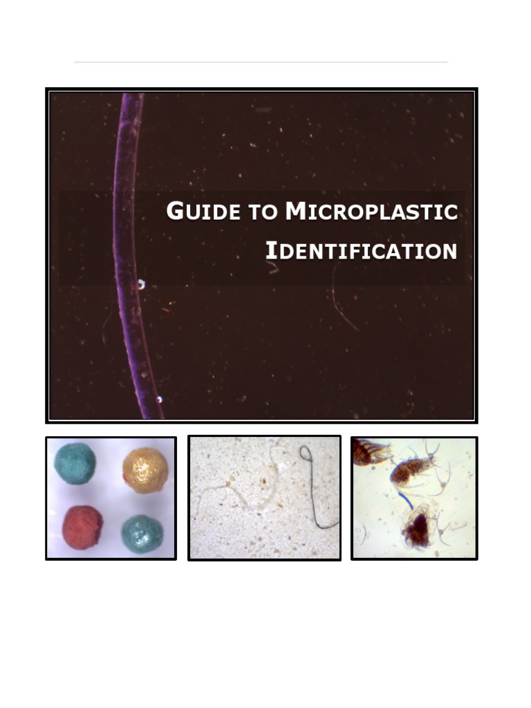 Guide To Microplastic Identification - MERI | PDF | Fibers | Filtration