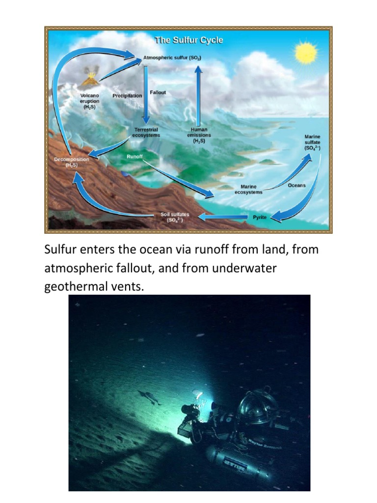 Sulfur Enters The Ocean Via Runoff From Land, From Atmospheric Fallout ...