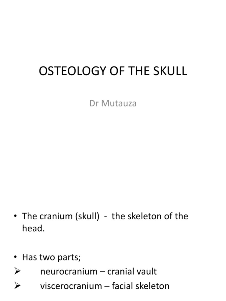 Osteology of The Skull: DR Mutauza | PDF | Skull | Musculoskeletal System