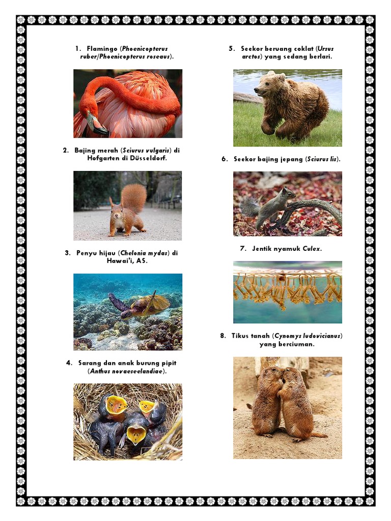 100 Nama Latin Hewan | PDF