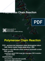 PrimeSTAR GXL DNA Polymerase Manual | PDF | Polymerase Chain Reaction ...