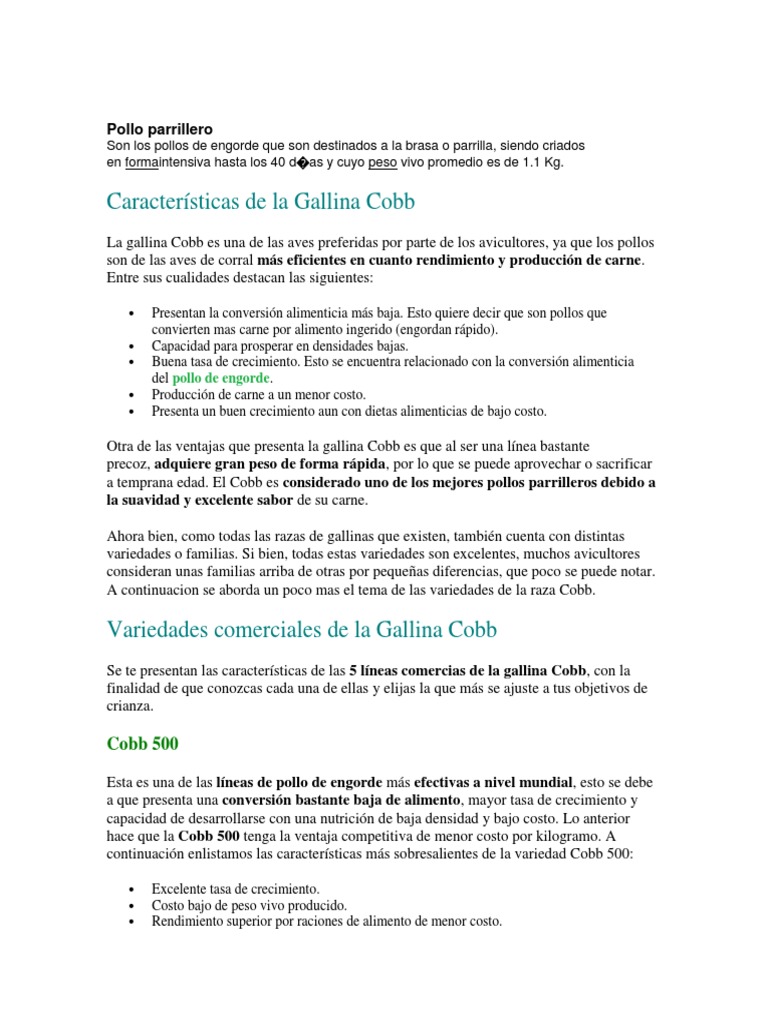 Pollo Cobb 500: El pollo de engorde más eficiente | PDF | Pollo | Carne