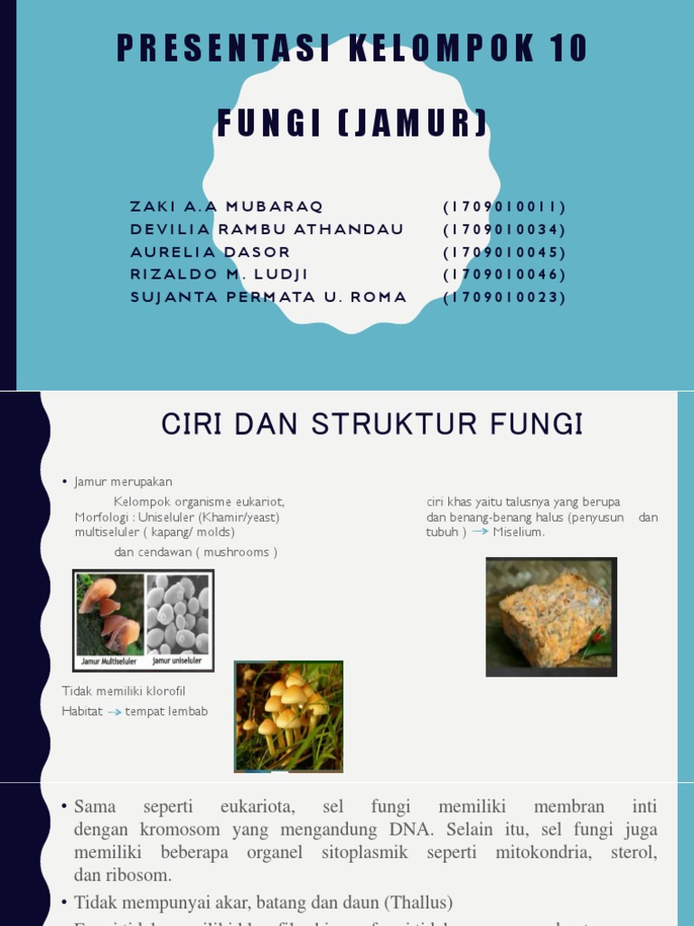 Kelompok 10-Struktur Kapang & Khamir | PDF