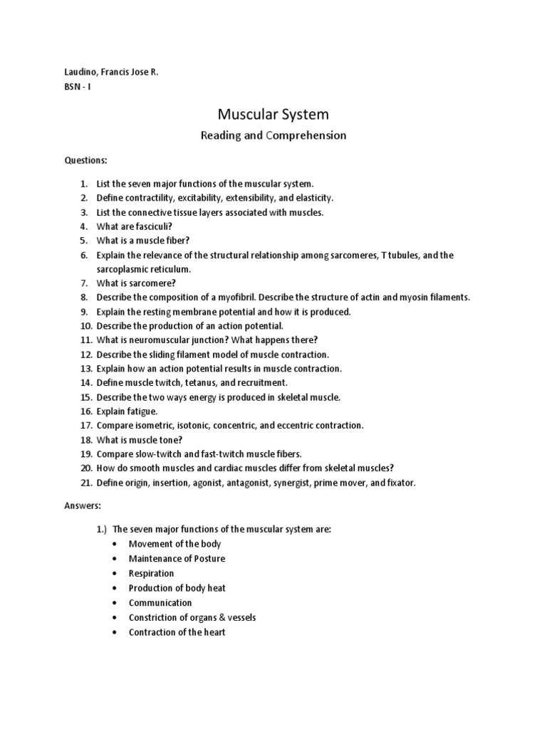 Muscular System: Reading and Comprehension | PDF | Muscle Contraction ...