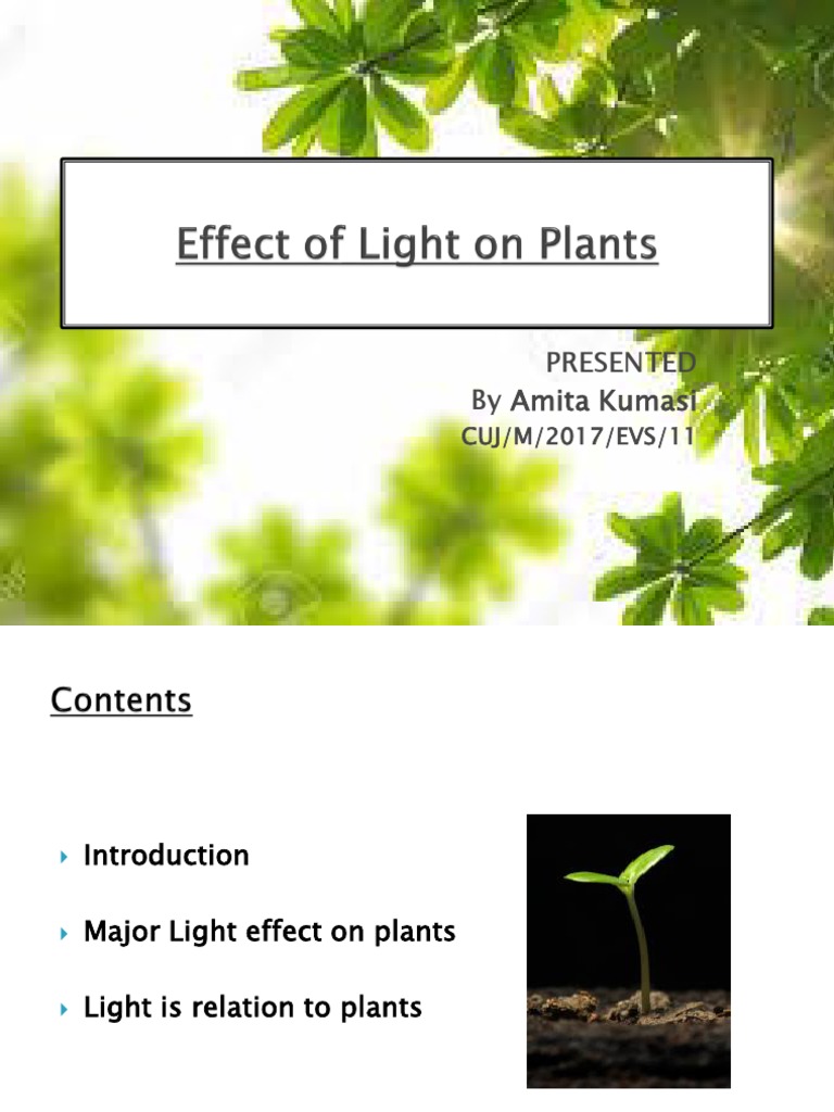 Effects of Light on Plant Growth | PDF
