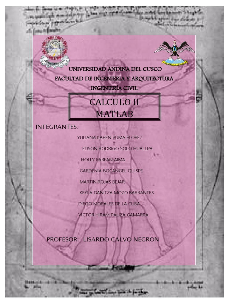 MATLAB Informe | PDF | Matriz (Matemáticas) | Lenguaje de programación