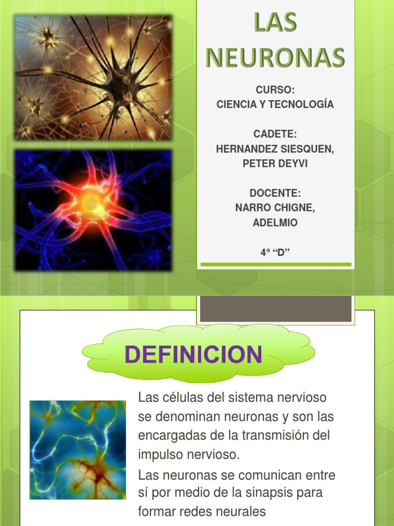 Las Neuronas | PDF | Neurona | Axon