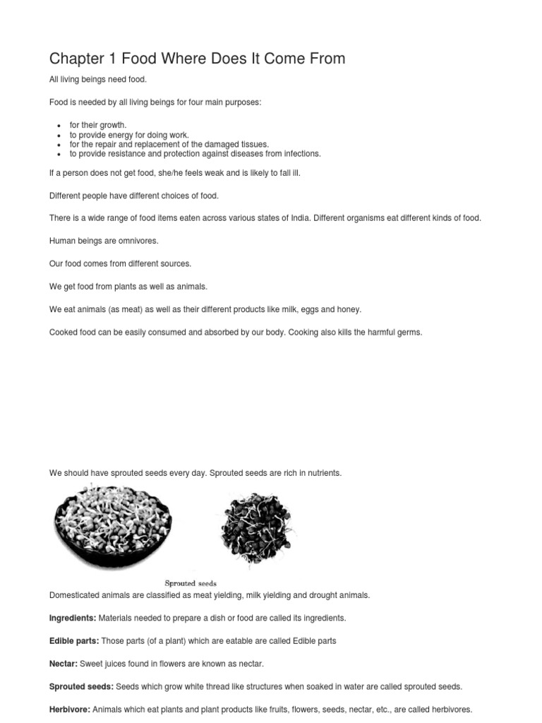 Sources of Food: Plants and Animals | PDF | Foods | Plants
