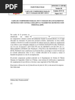 Carta Compromiso EPP | PDF