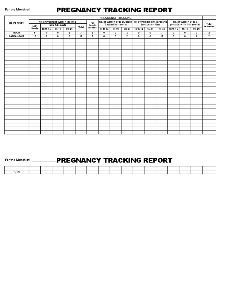 Monthly Pregnancy Tracking Report | PDF