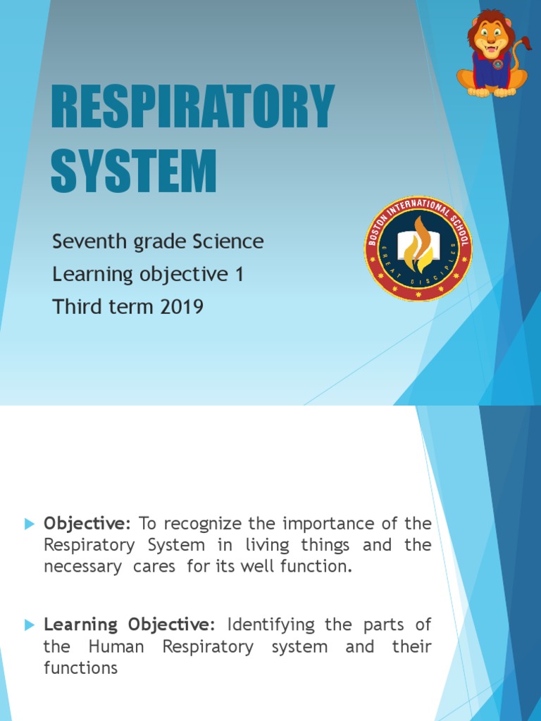 Understanding the Respiratory System | PDF | Respiratory Tract | Lung
