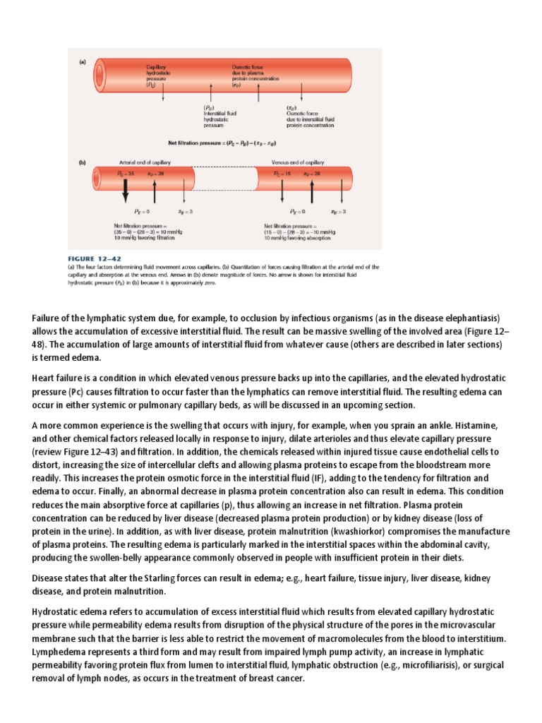 Starling Forces | PDF | Edema | Capillary