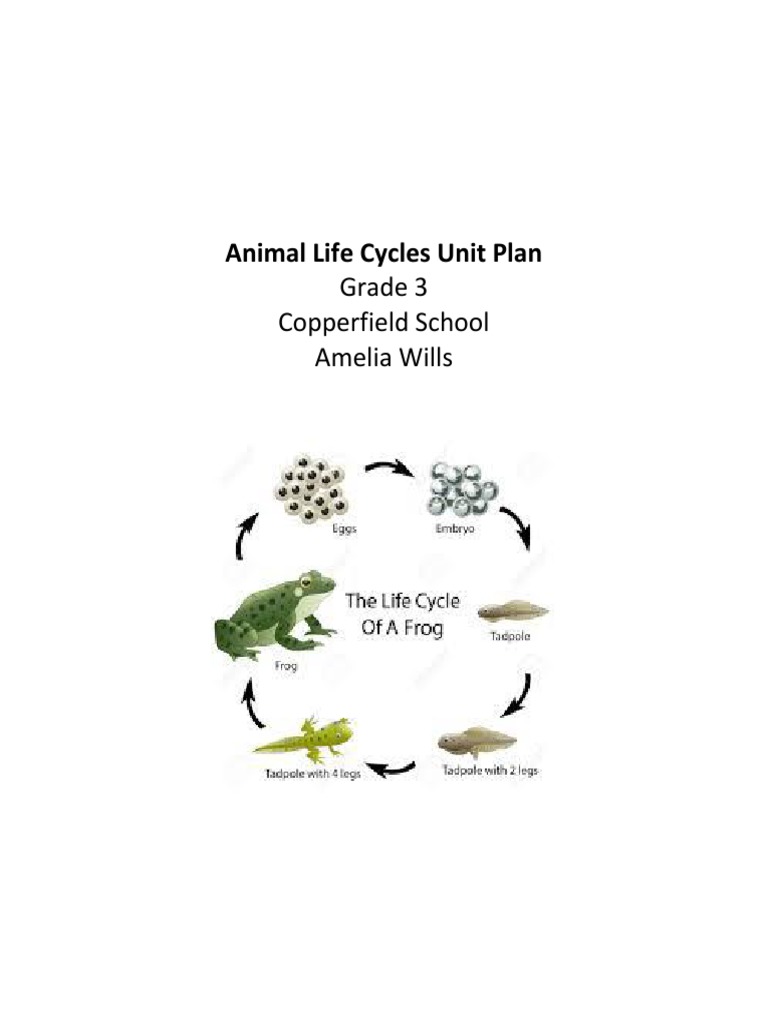 Animal Life Cycles Unit Plan: Grade 3 Copperfield School Amelia Wills ...