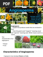 Amoeba Sisters Video Recap of Plant Reproduction in Angiosperms | PDF