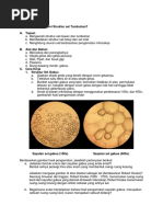 Pengamatan Sel Gabus Singkong | PDF | Griya & Taman