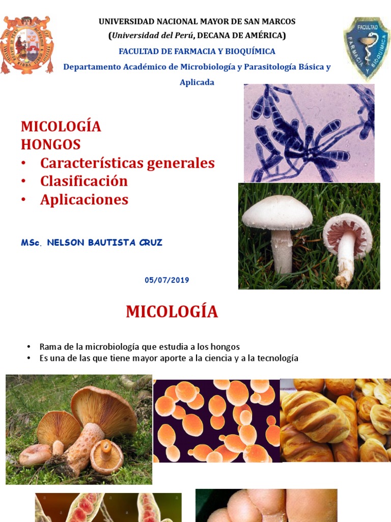 Micología PDF | PDF | Hongo | Levadura