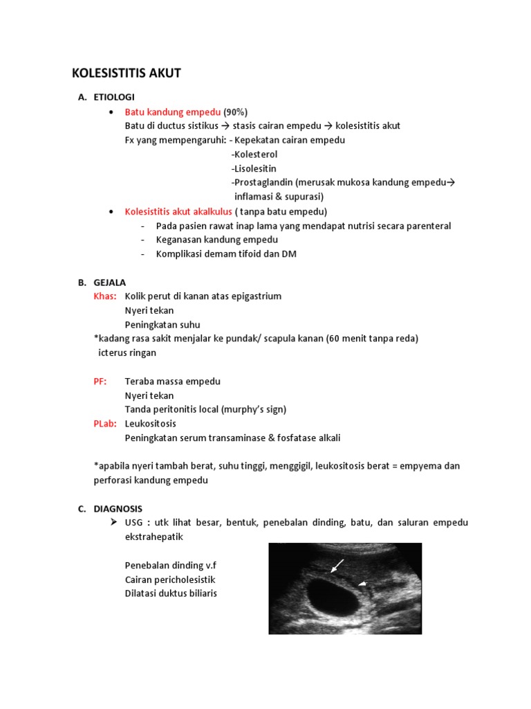 Kolesistitis Akut | PDF | Sains & Matematika
