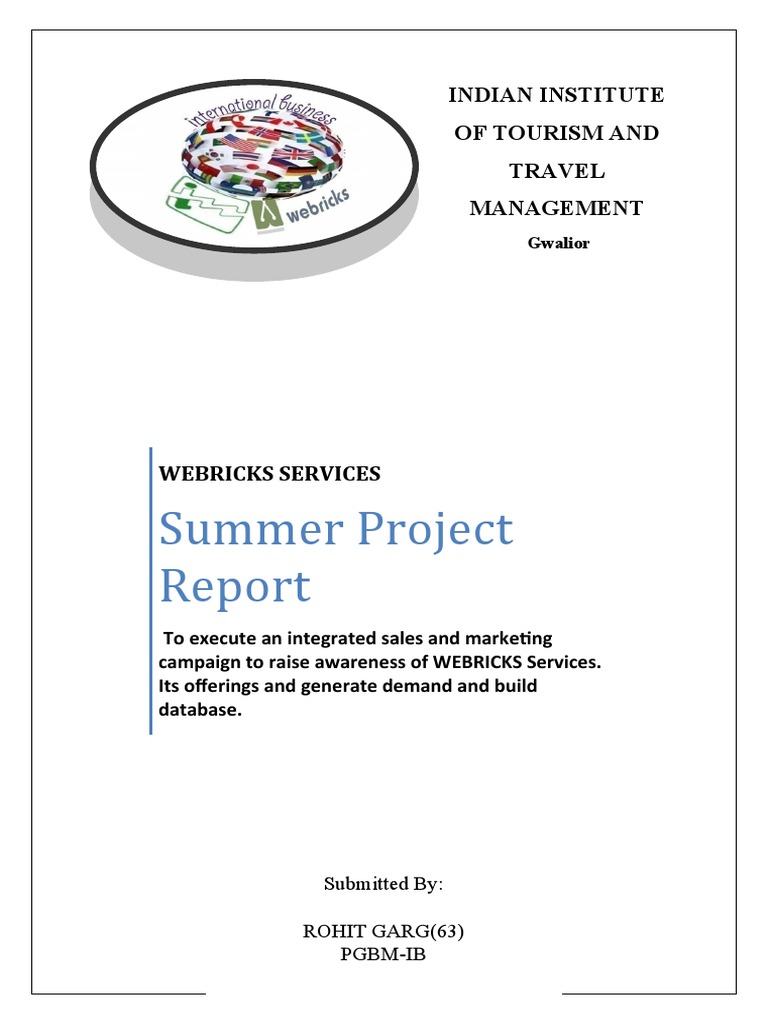 Summer Project Report, Webricks, Iittm | PDF | Customer Relationship ...