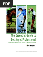 Horse Bet Tracking Spreadsheet Instruction Guide 1.3 | PDF | Odds ...