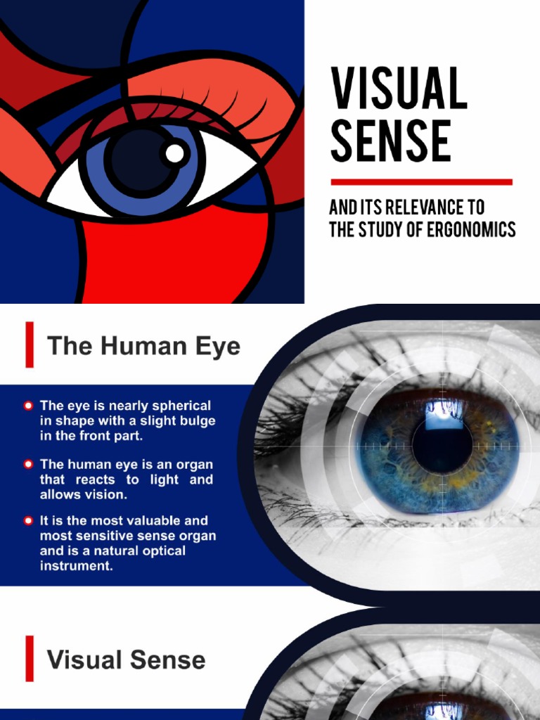 Visual Sense | PDF
