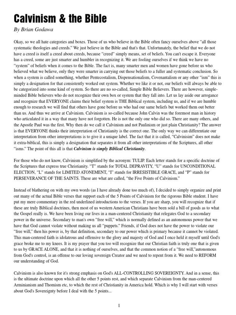 Calvinism | PDF | John The Baptist | Christianity