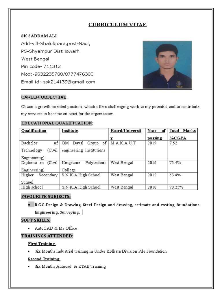 Curriculum Vitae: SK Saddam Ali | PDF