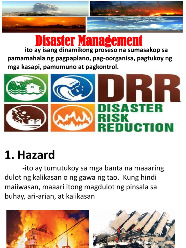 Disaster Management | PDF