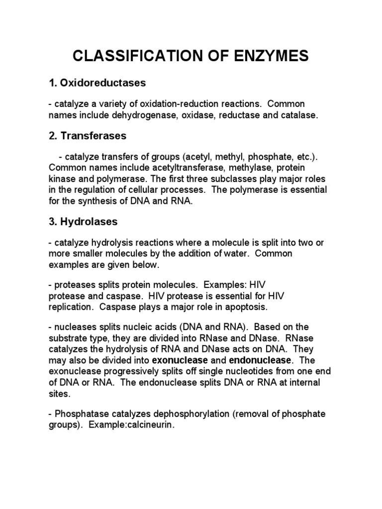 Classify Enzymes with Oxidoreductases, Transferases & More | PDF ...